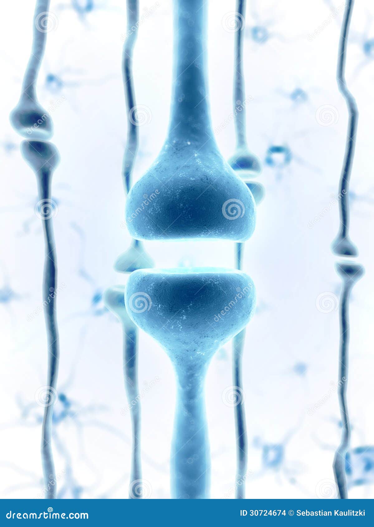 Human Receptor Chart Vertical Infographic Royalty-Free Cartoon ...