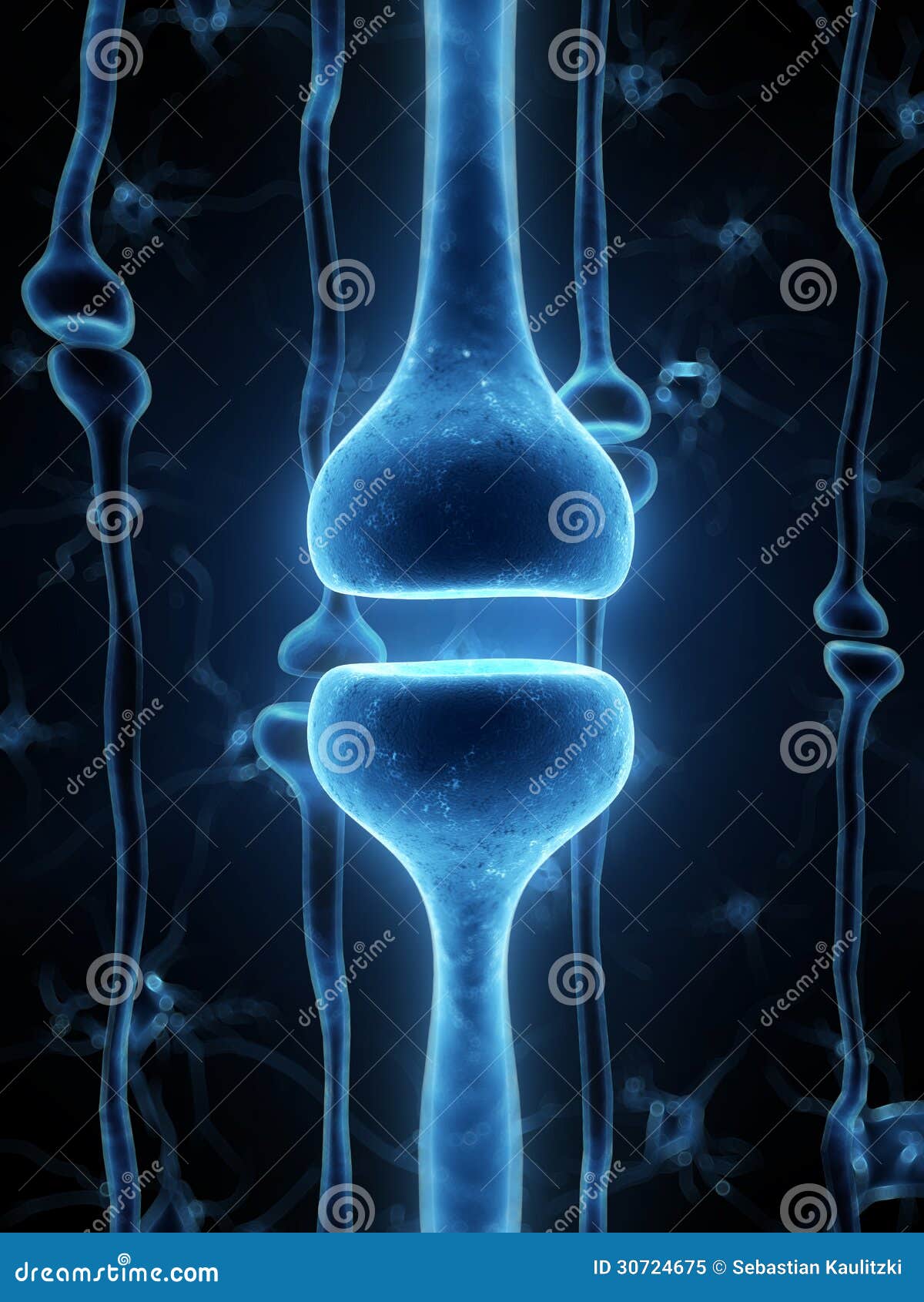 Human Receptor Chart Vertical Infographic Royalty-Free Cartoon ...