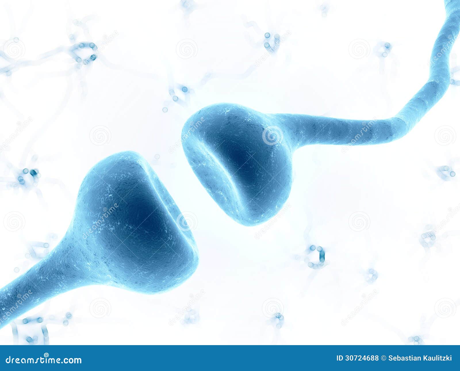 Human Receptor Chart Vertical Infographic Royalty-Free Cartoon ...