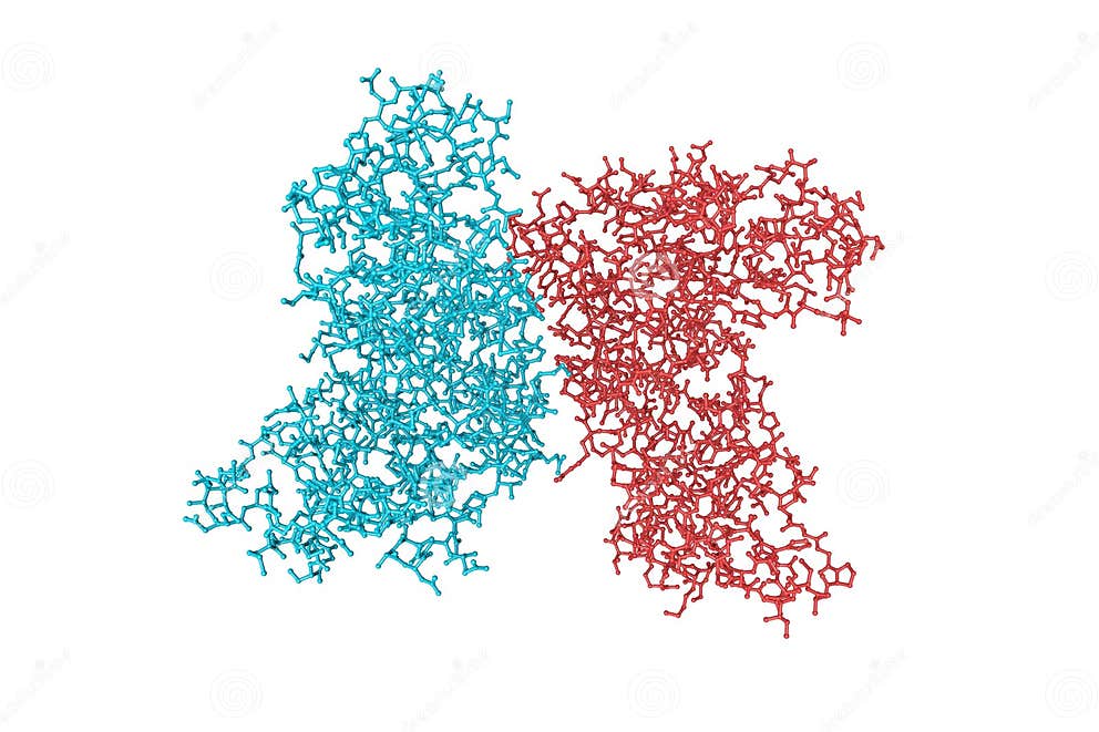 Human Receptor-interacting Protein Kinase 1 Domain in Complex with ...