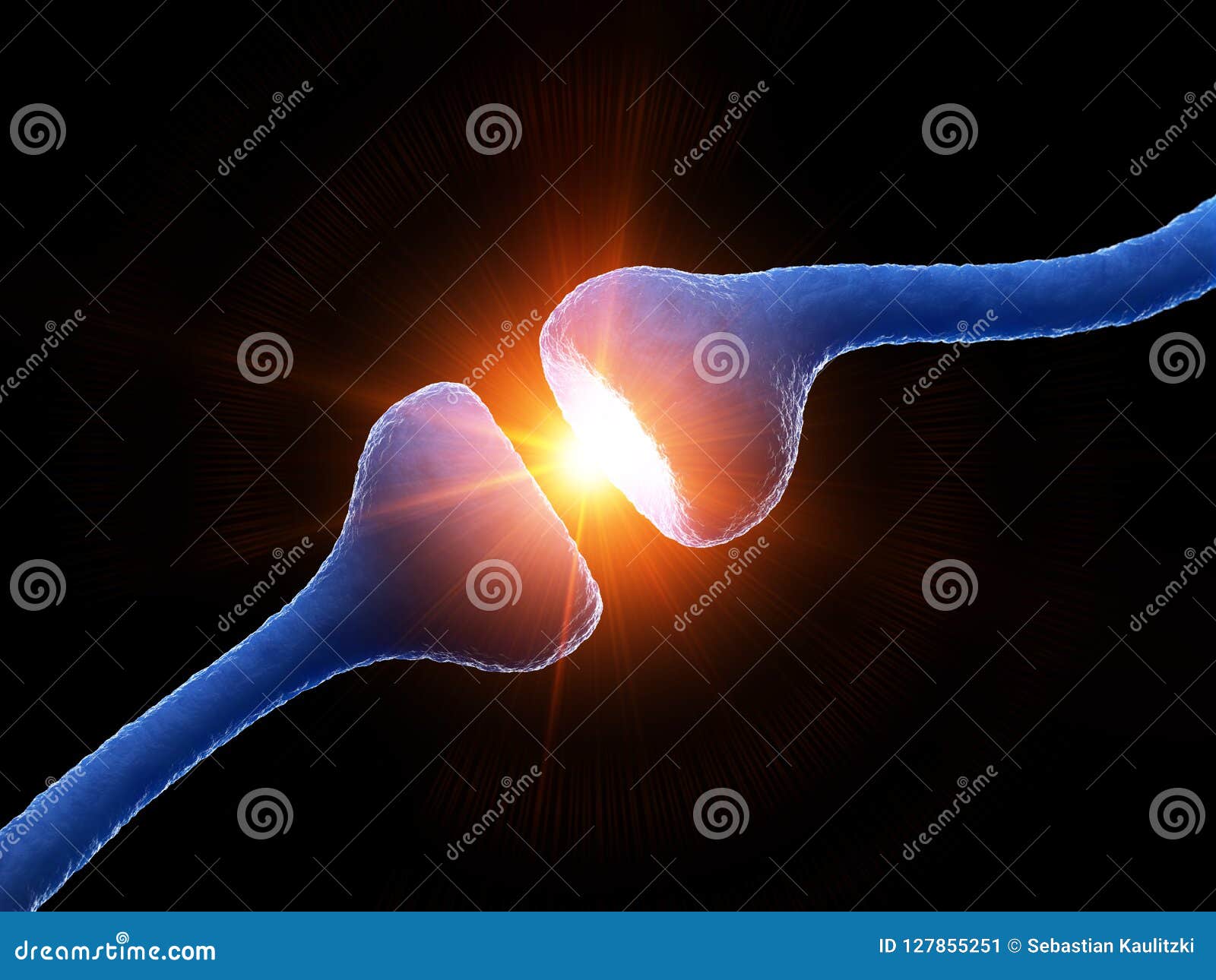 Human receptors stock illustration. Illustration of human - 127855251