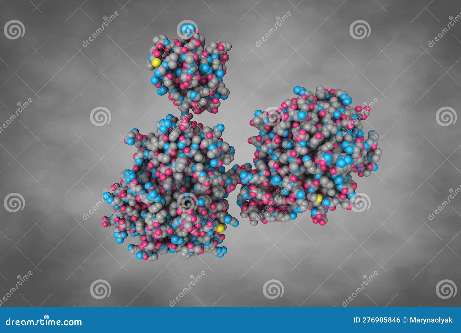 Human Recombinant Gla-domainless Prothrombin Mutant. Ribbons Diagram In ...