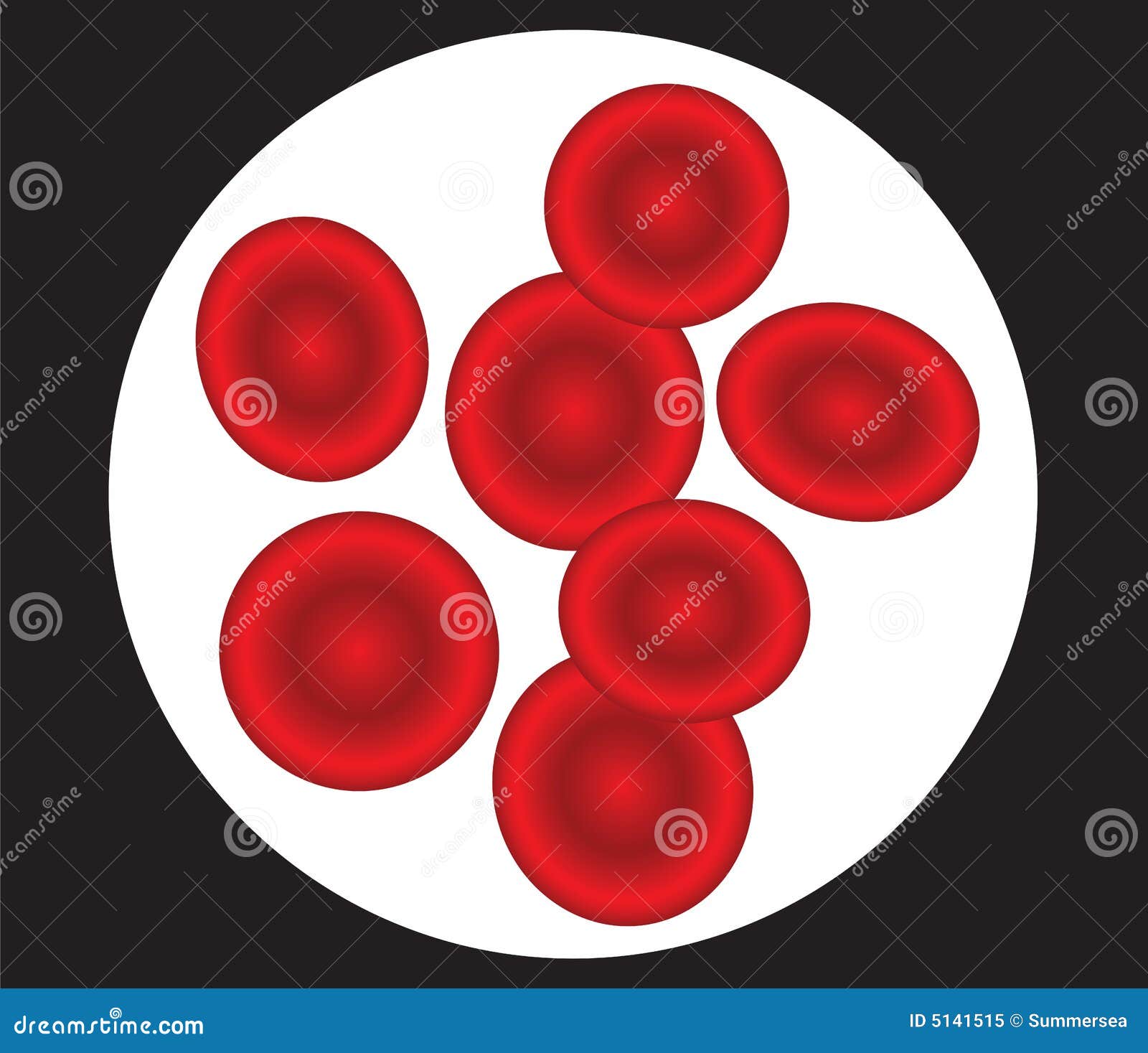 Human Red Blood Cells Vector Illustration Stock Vector - Illustration ...