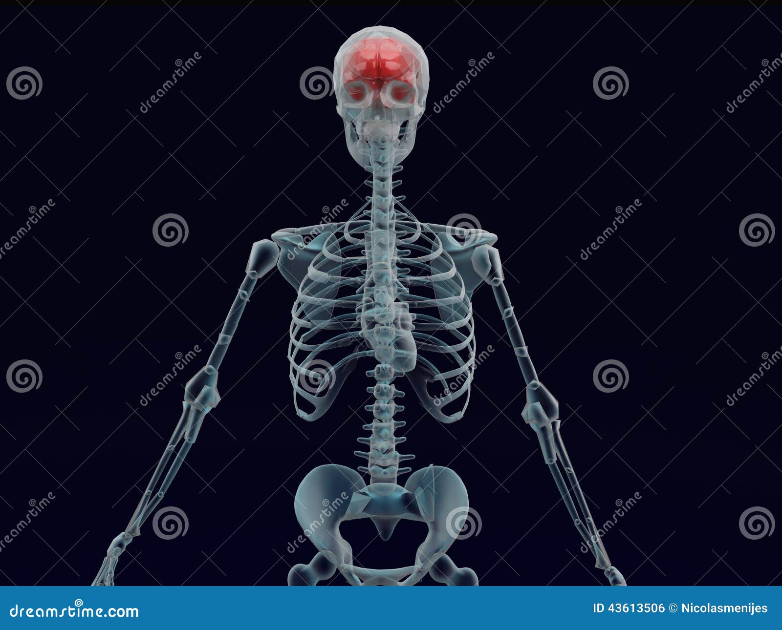 Human Red Brain X Ray in Black Background Stock Illustration ...