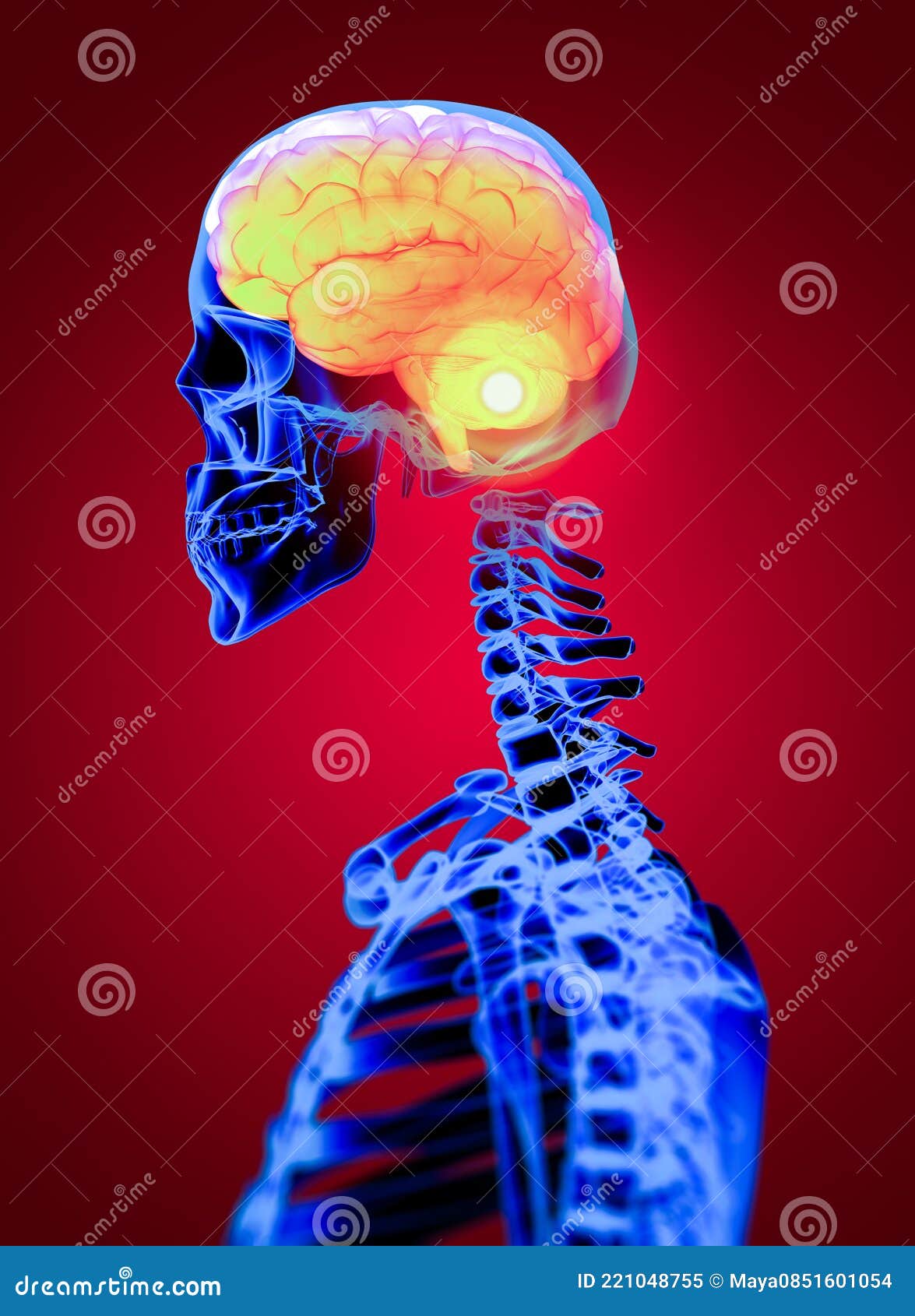 3D Rendering Illustration of Brain Stock Illustration - Illustration of ...