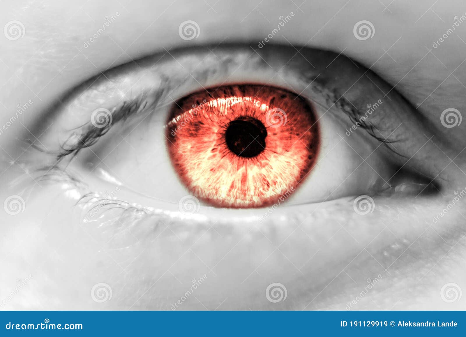 Human red eye macro stock image. Image of leather, eyelashes - 191129919