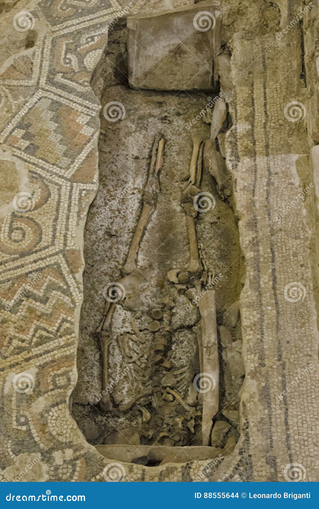 Human Remains in a Roman Domus Editorial Stock Image - Image of ...
