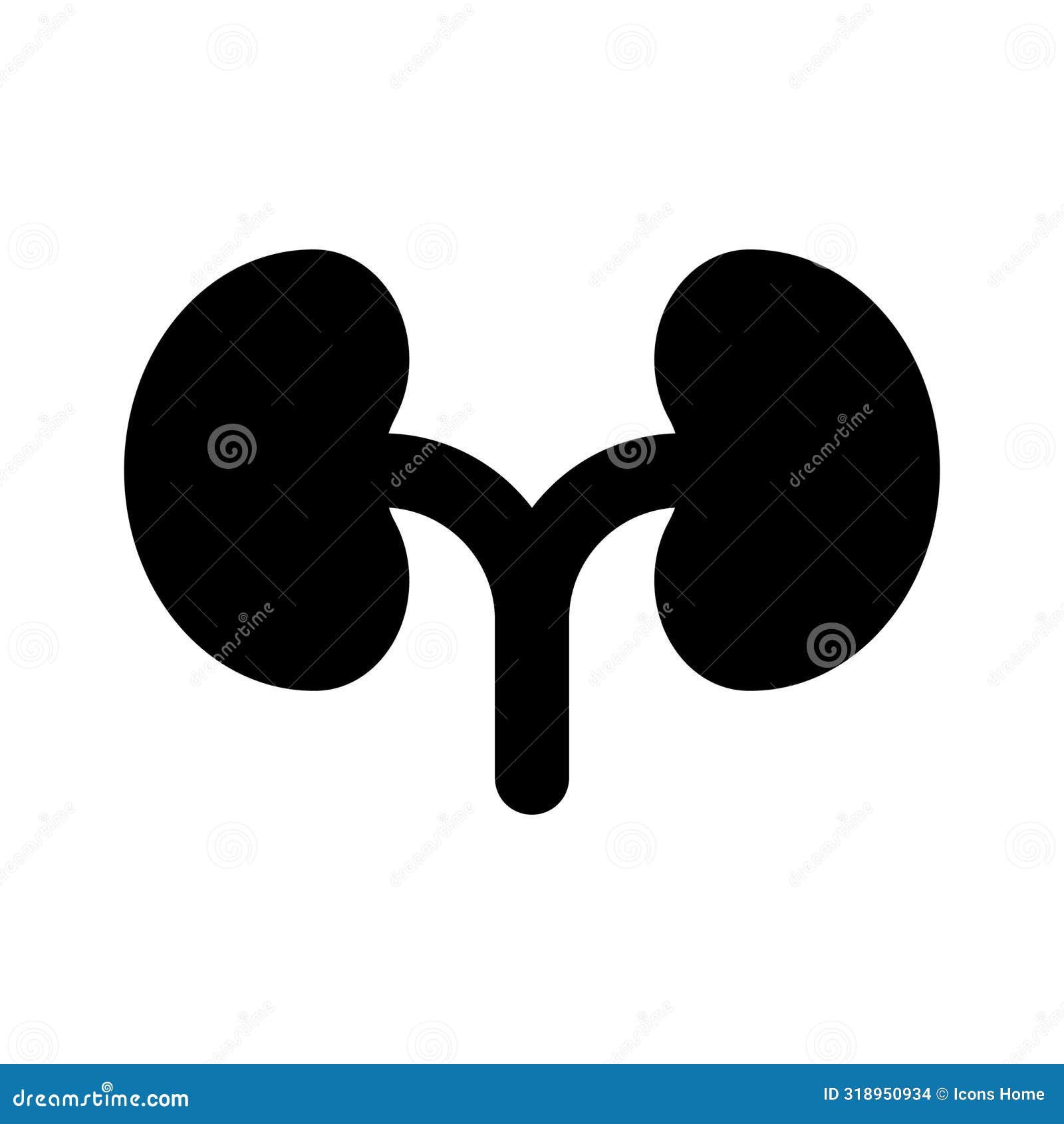 Human Renal System Organ, Human Organ, Icon of Kidneys Stock Vector ...