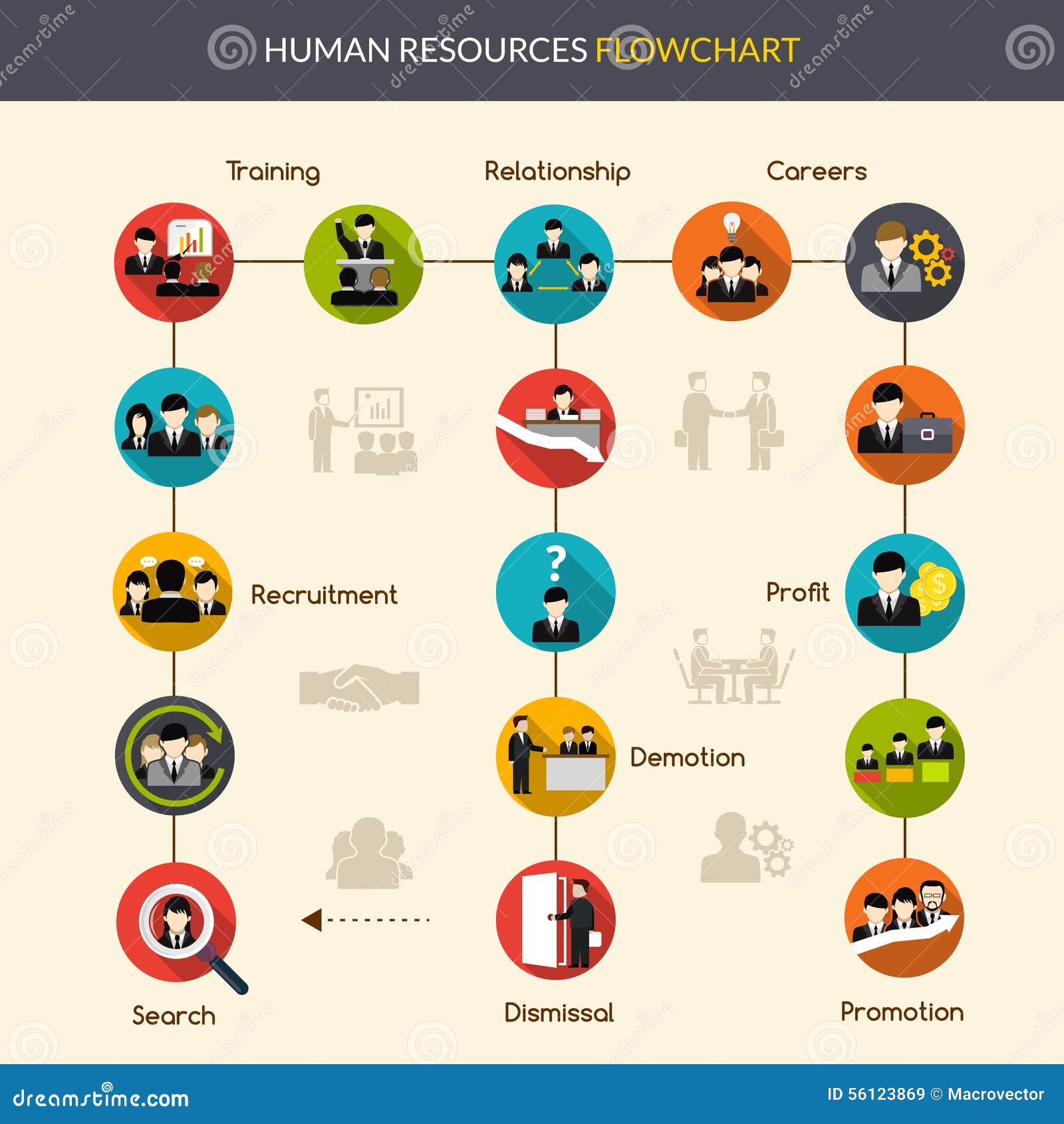Human Resources Flowchart stock vector. Illustration of corporate ...