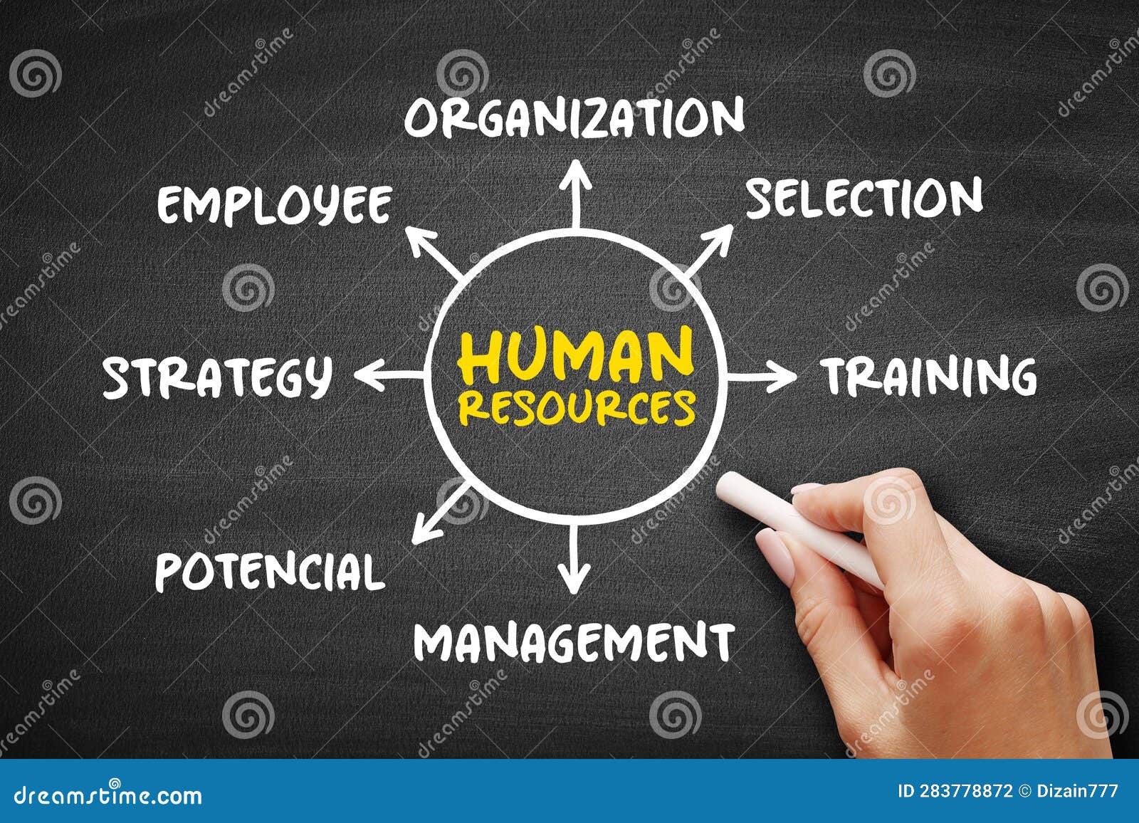 Human Resources - People Who Make Up the Workforce of an Organization ...
