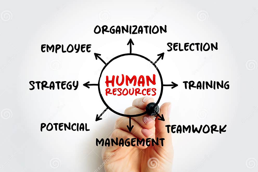 Human Resources - People Who Make Up the Workforce of an Organization ...