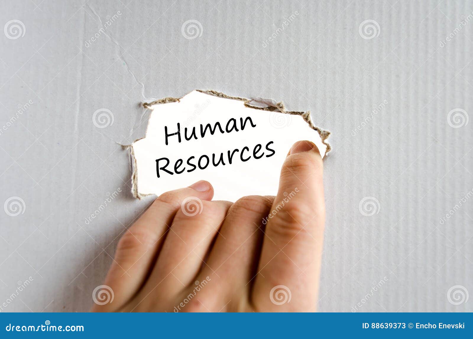 Human Resources Text Concept Stock Image - Image of development ...