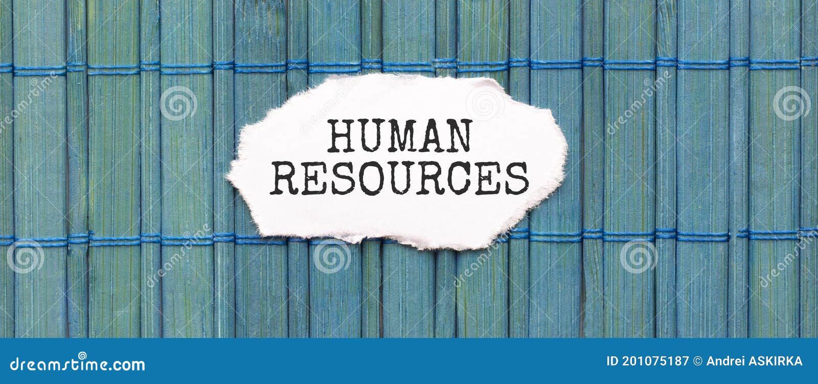 HUMAN RESOURCES Text on the Piece of Paper on the Green Wood Background ...