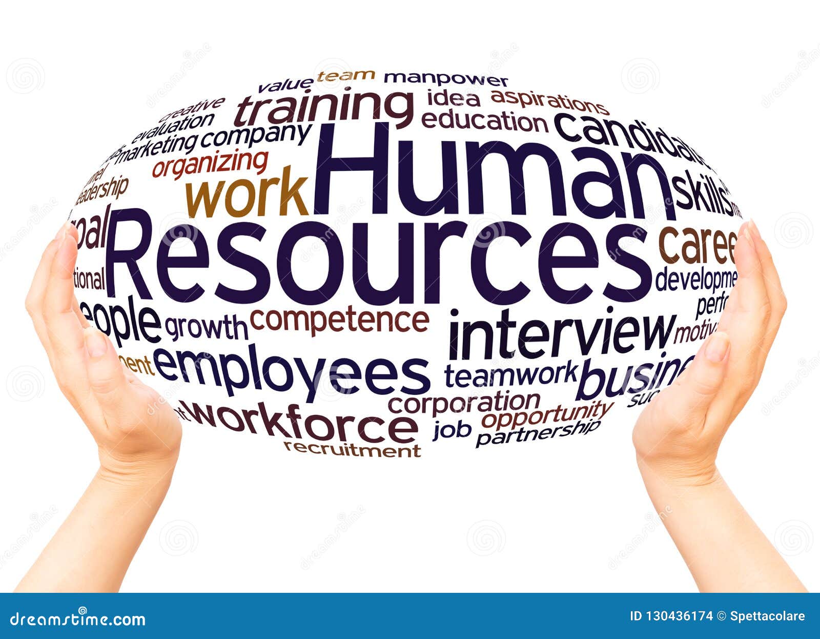 Human Resources Word Cloud Hand Sphere Concept Stock Illustration ...