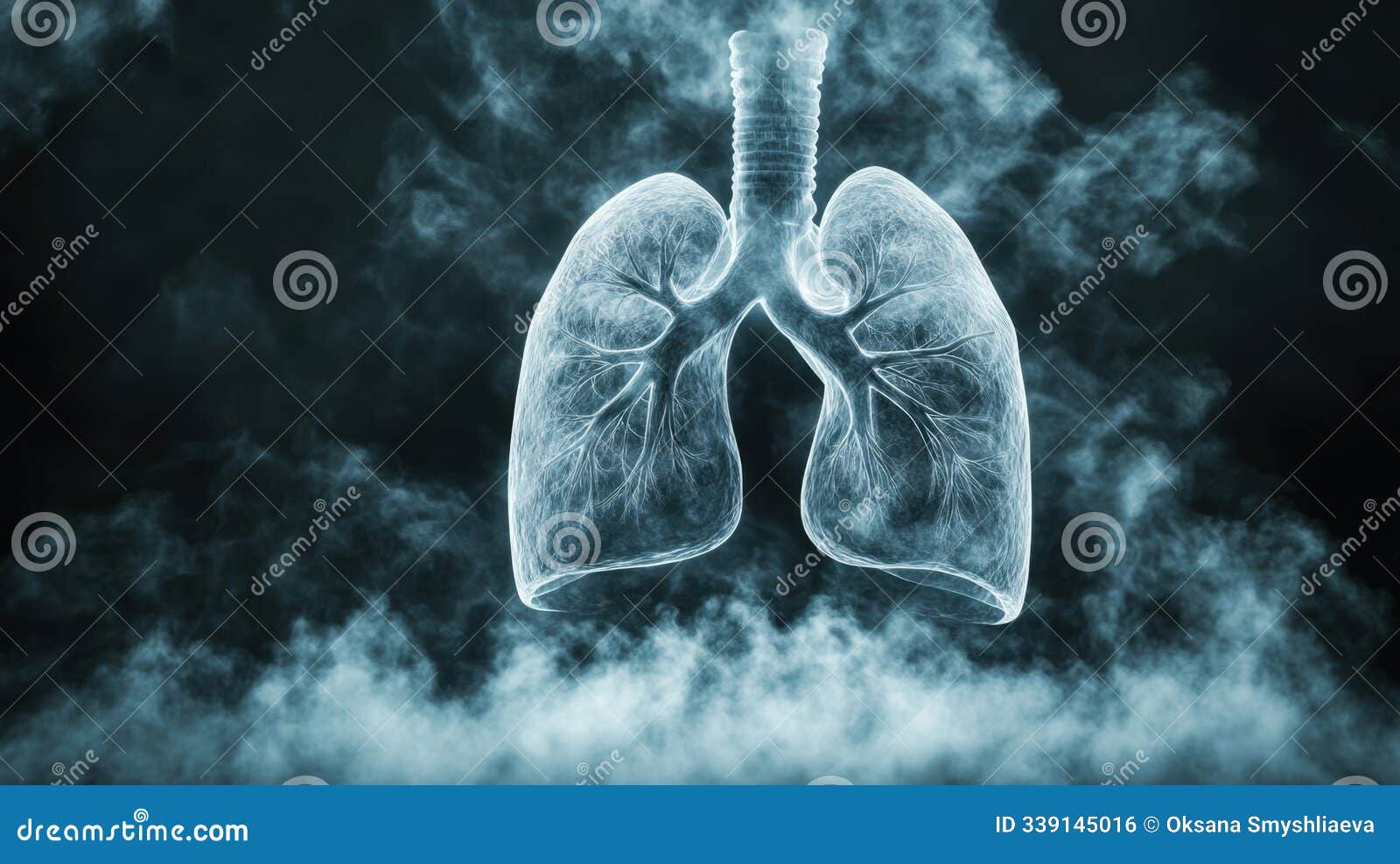 Human Respiratory System Lungs Anatomy Animation Concept. Visible Lung ...