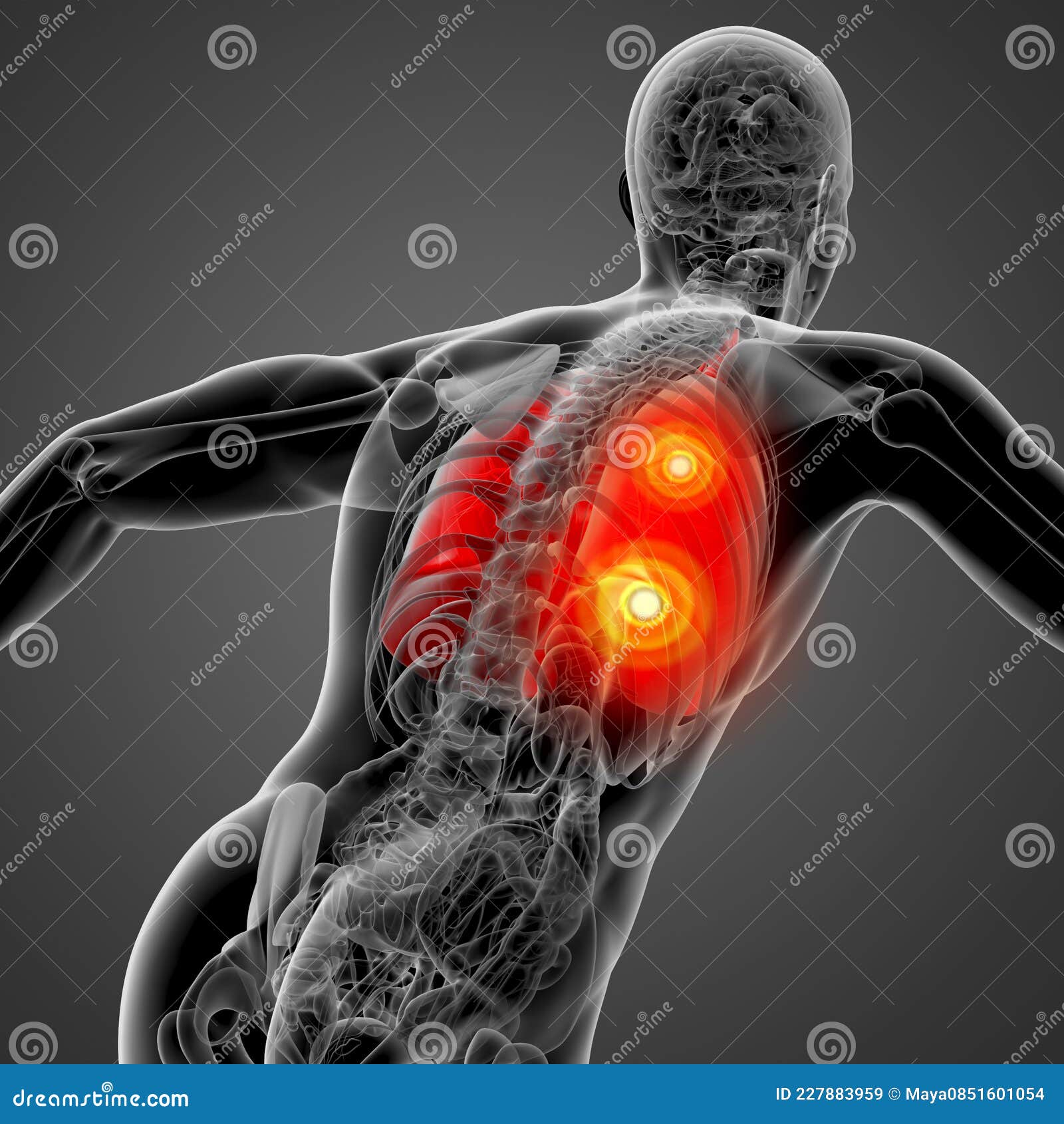 3D Rendering Illustration of Lung Stock Illustration - Illustration of ...