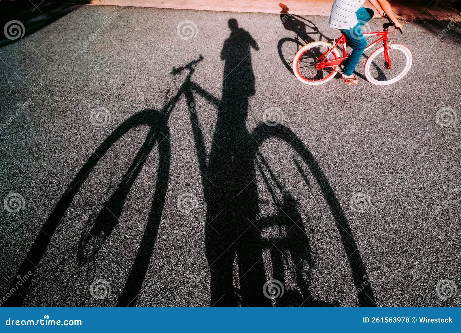 Human Riding Bicycle with Shadow on Ground Stock Photo - Image of ...