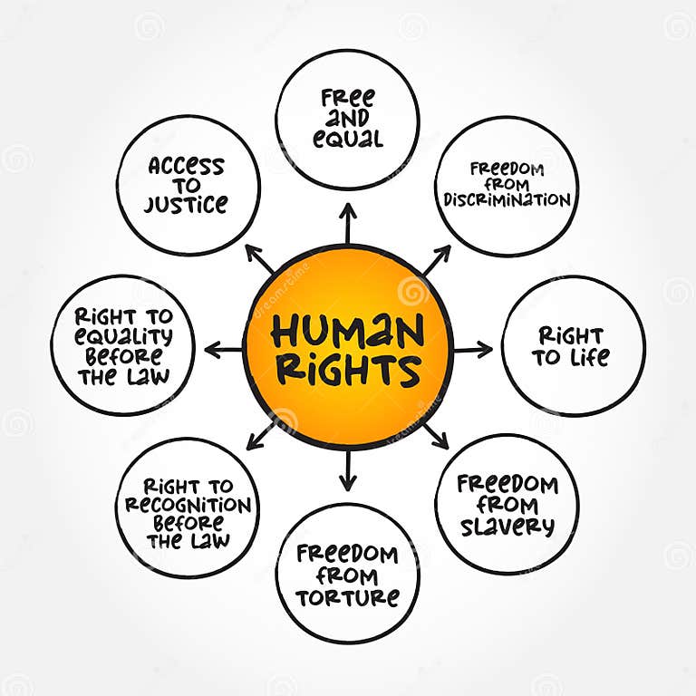 Human Rights are Moral Principles or Norms for Certain Standards of ...