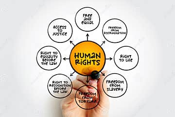 Human Rights are Moral Principles or Norms for Certain Standards of ...