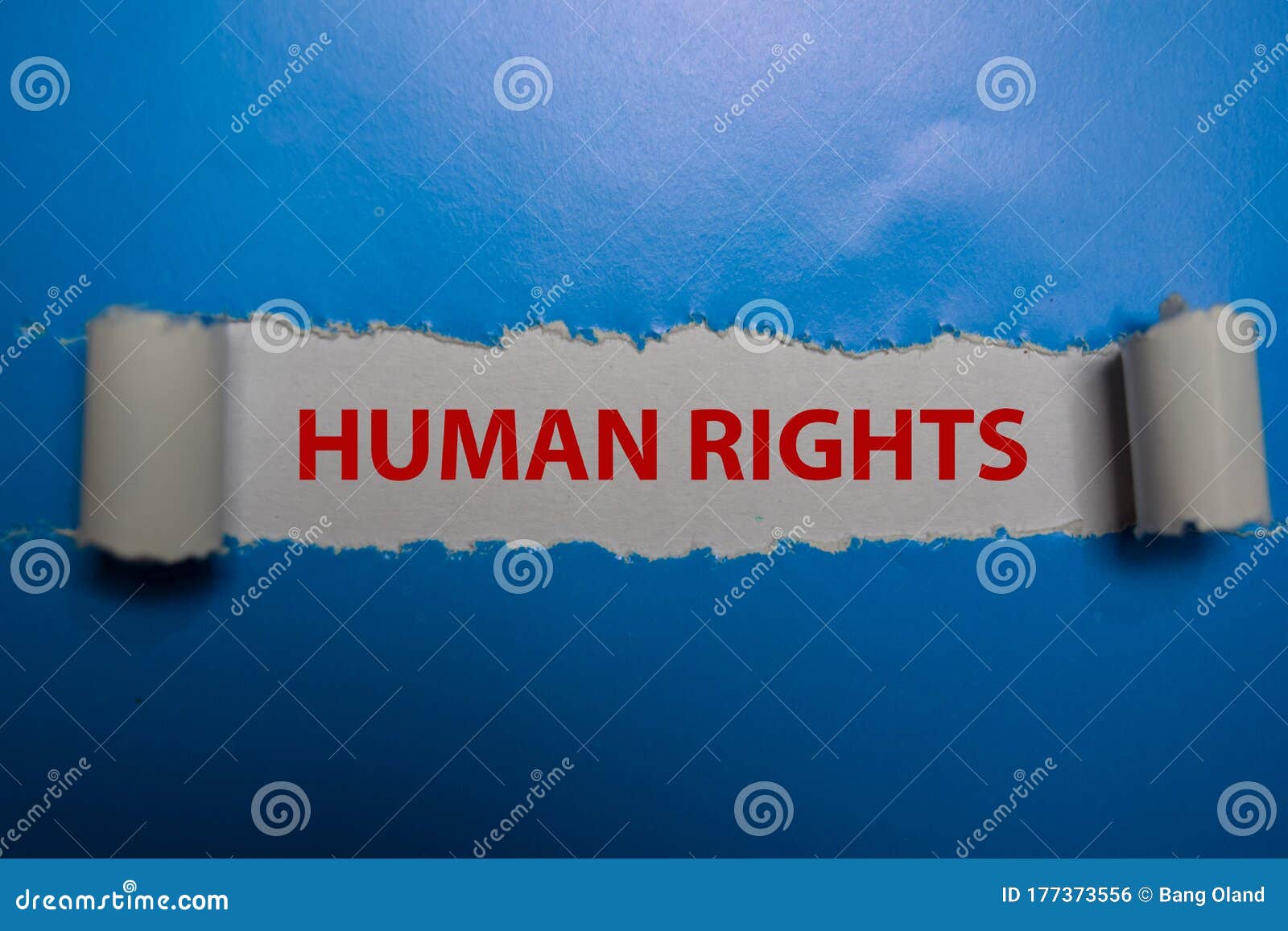Human Rights Text Written in Torn Paper. Medical Concept Stock Photo ...