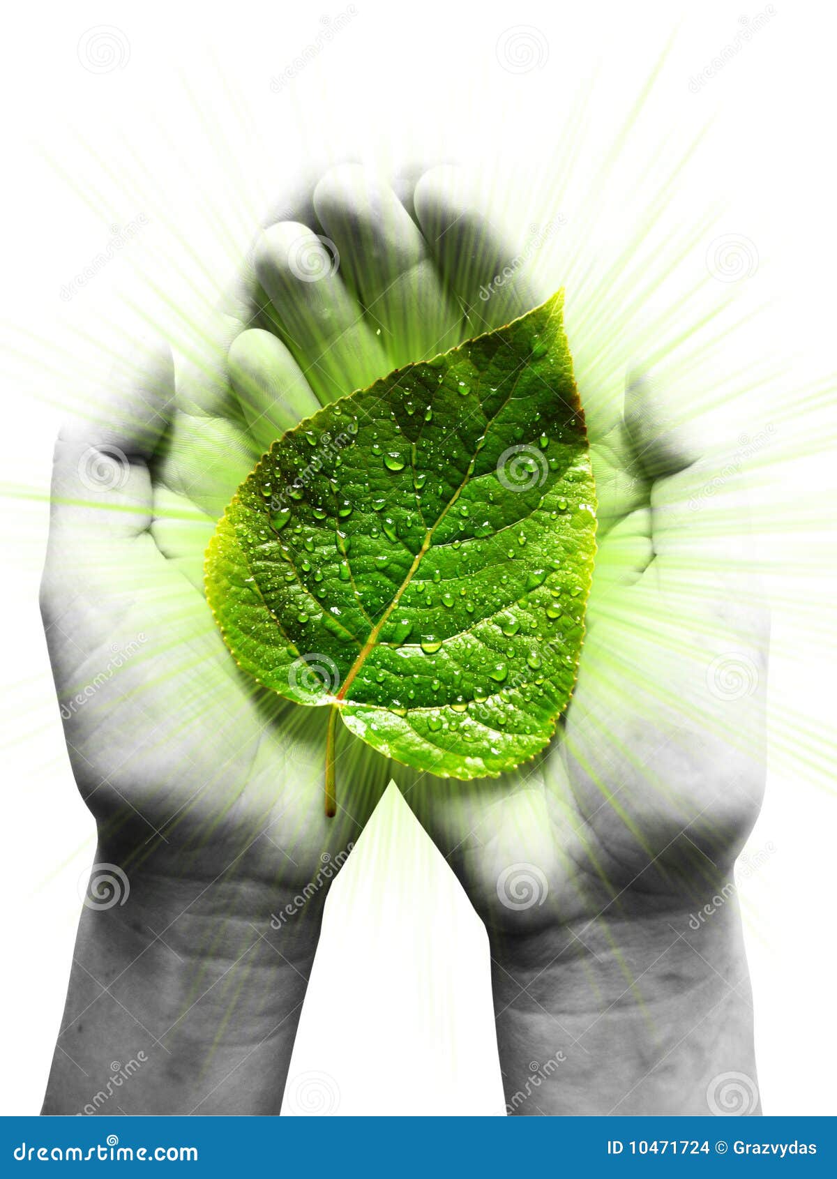 Human Role in Environment Protection Stock Photo - Image of ...