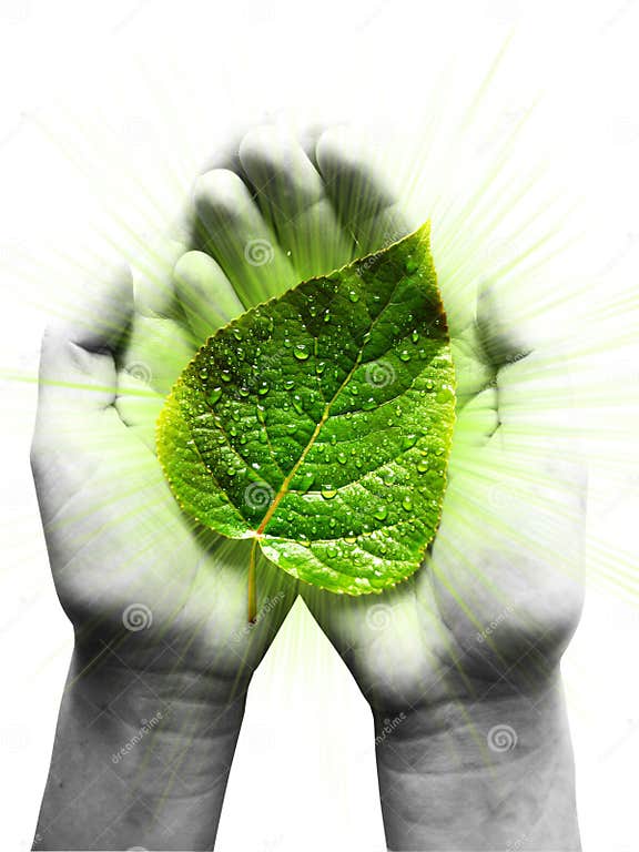 Human Role in Environment Protection Stock Photo - Image of ...