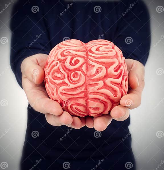 Human Rubber Brain between the Hands Stock Photo - Image of concept ...