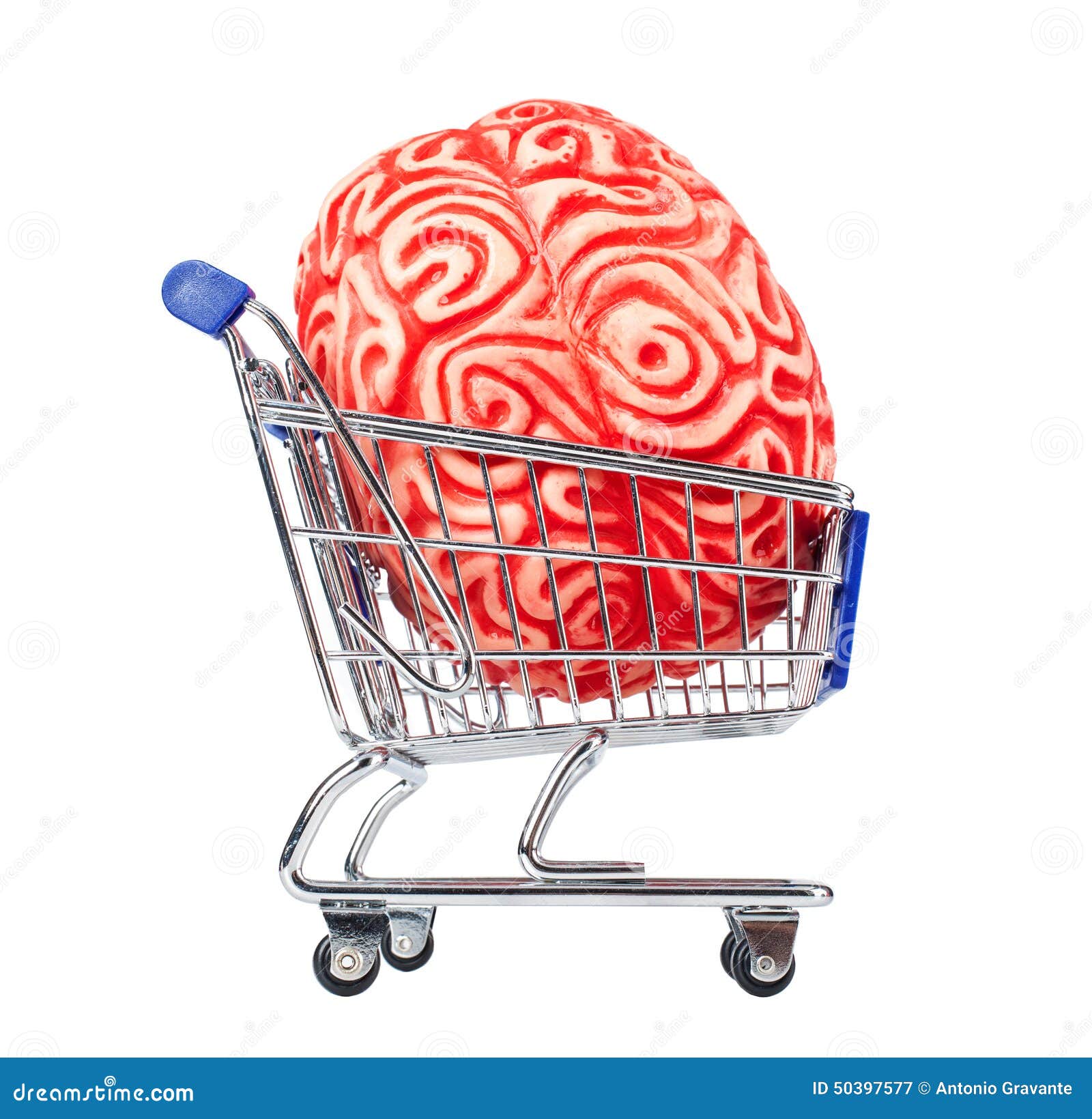 Human Rubber Brain in the Shopping Cart Stock Image - Image of function ...