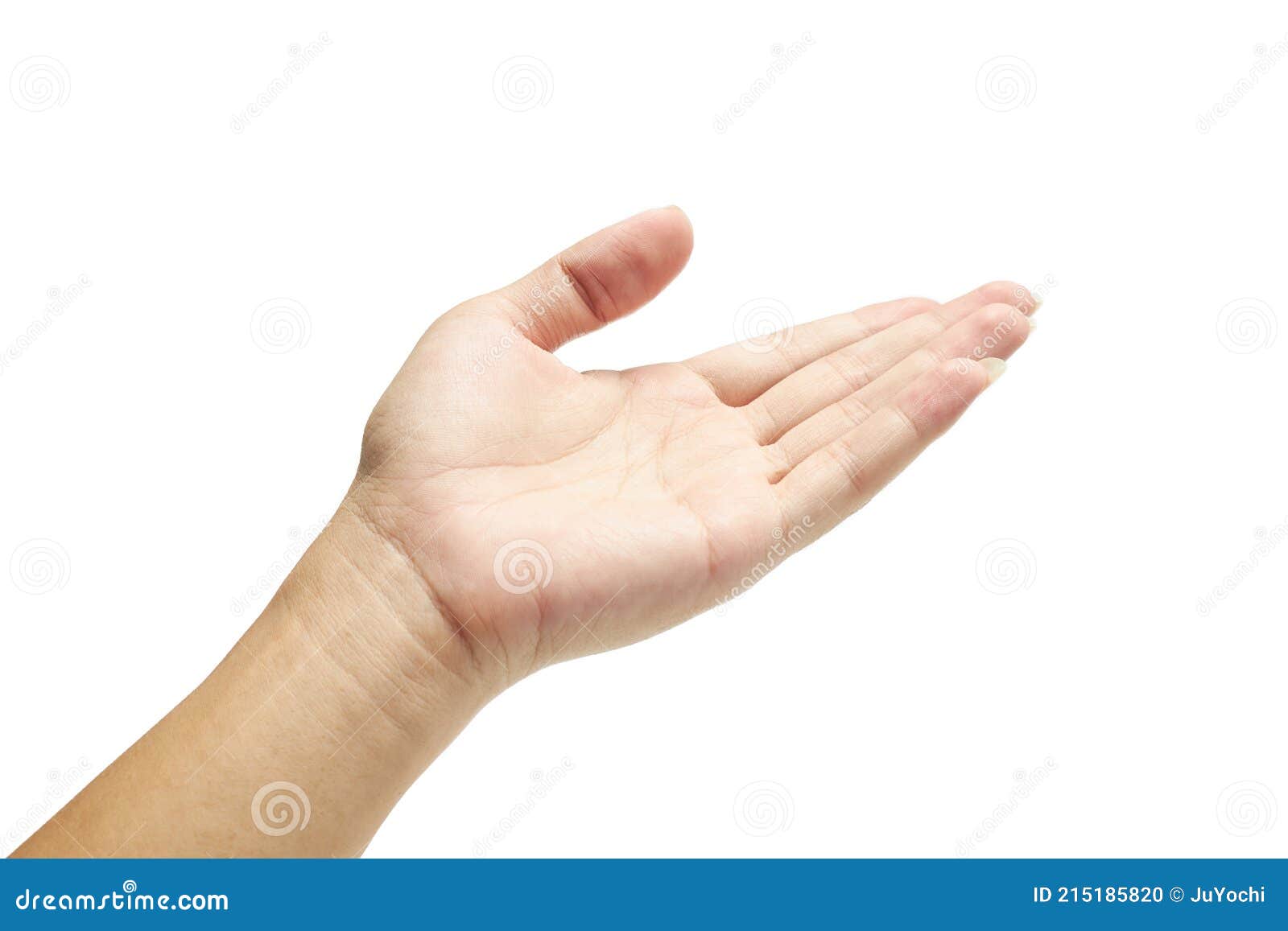 Human`s Hand Holding Something on Isolated with Clipping Path Stock ...