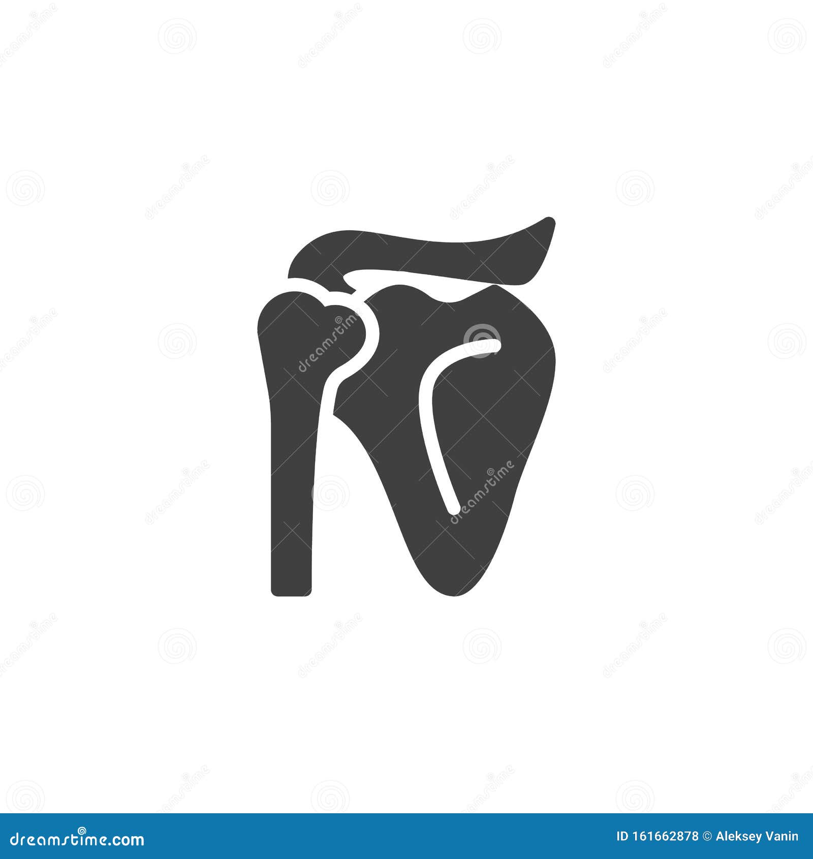 Human Scapula Bone Vector Icon Stock Vector - Illustration of flat ...