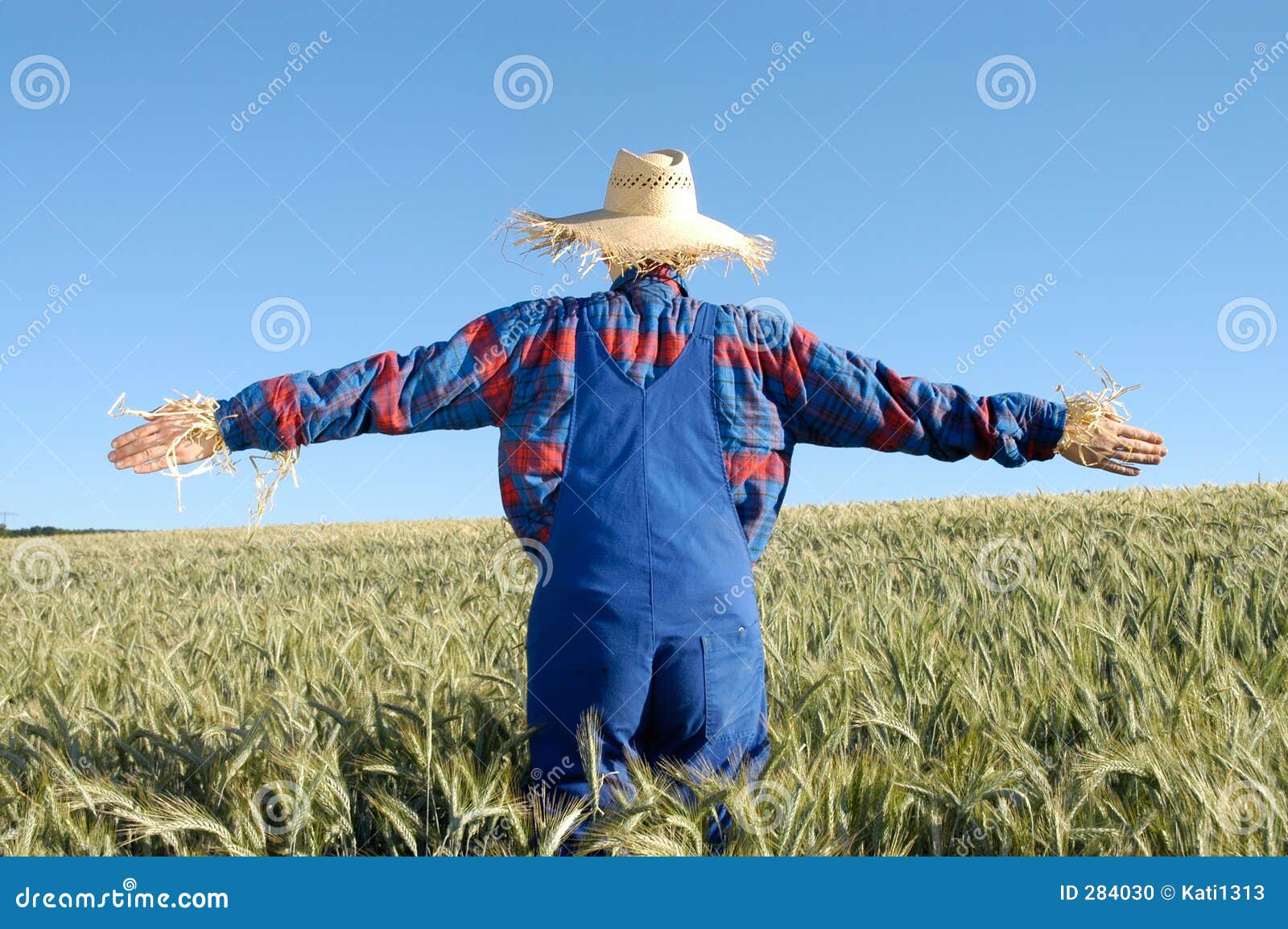 Human scarecrow stock photo. Image of summer, straw, grainfield - 284030