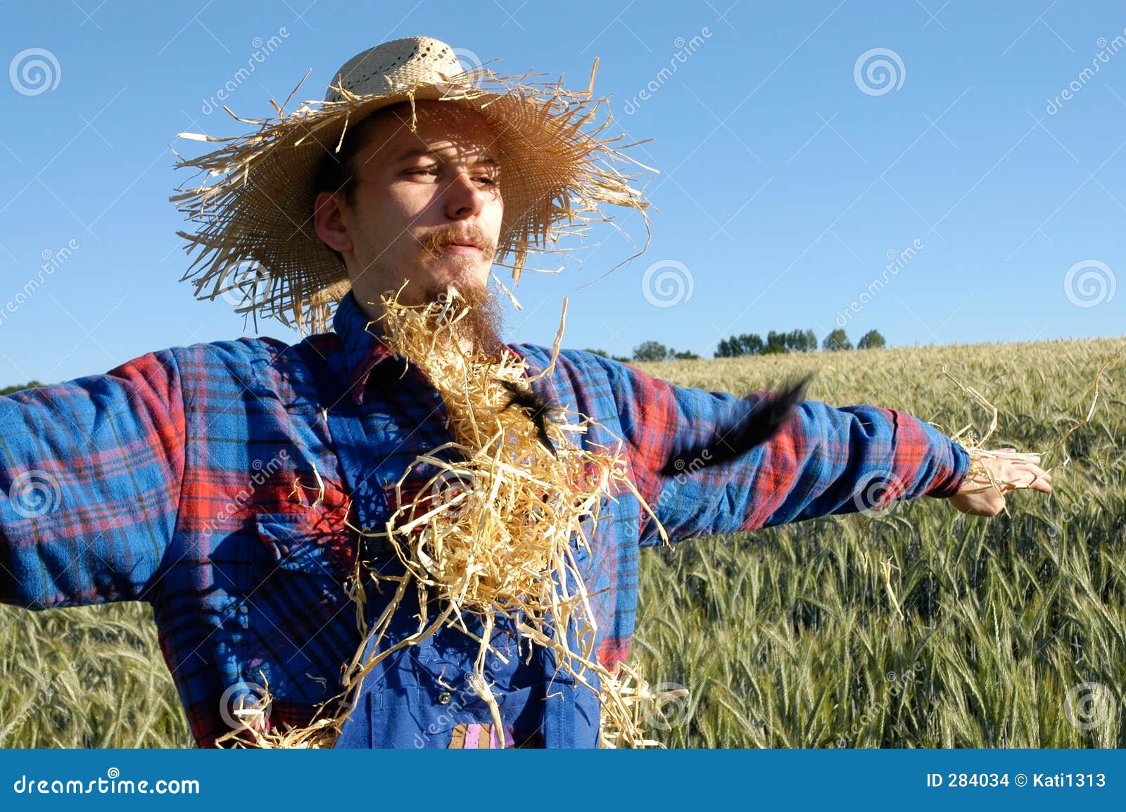 Human scarecrow stock photo. Image of human, shirt, field - 284034