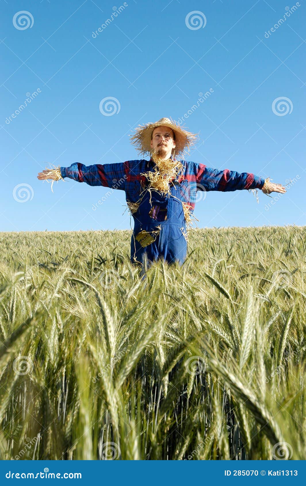 Human scarecrow stock photo. Image of blue, crow, grain - 285070