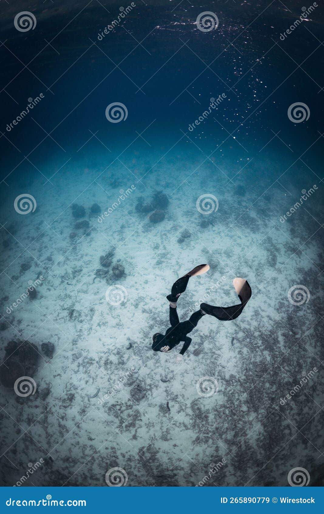 Human during Scuba Diving in Ocean Stock Image - Image of vertical ...