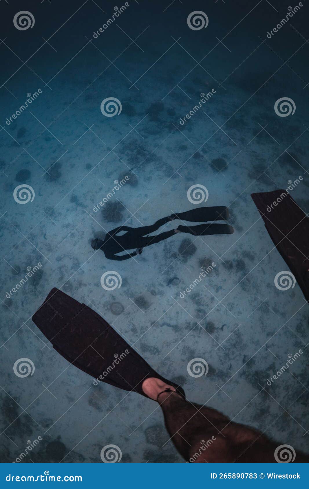 Human during Scuba Diving in Ocean Stock Image - Image of vertical ...