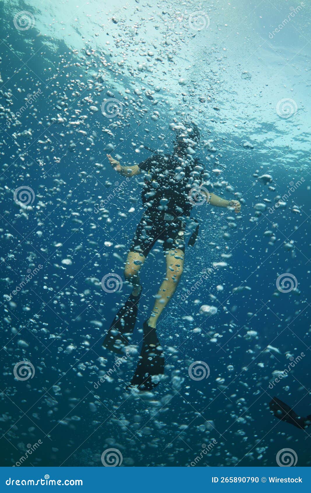 Human during Scuba Diving in Ocean Stock Photo - Image of travel, fresh ...
