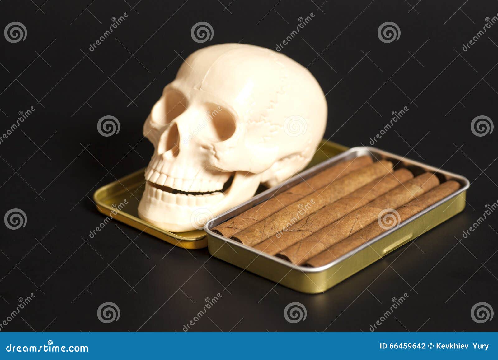 Human Scull with Metal Cigar Box Stock Photo - Image of black, addict ...
