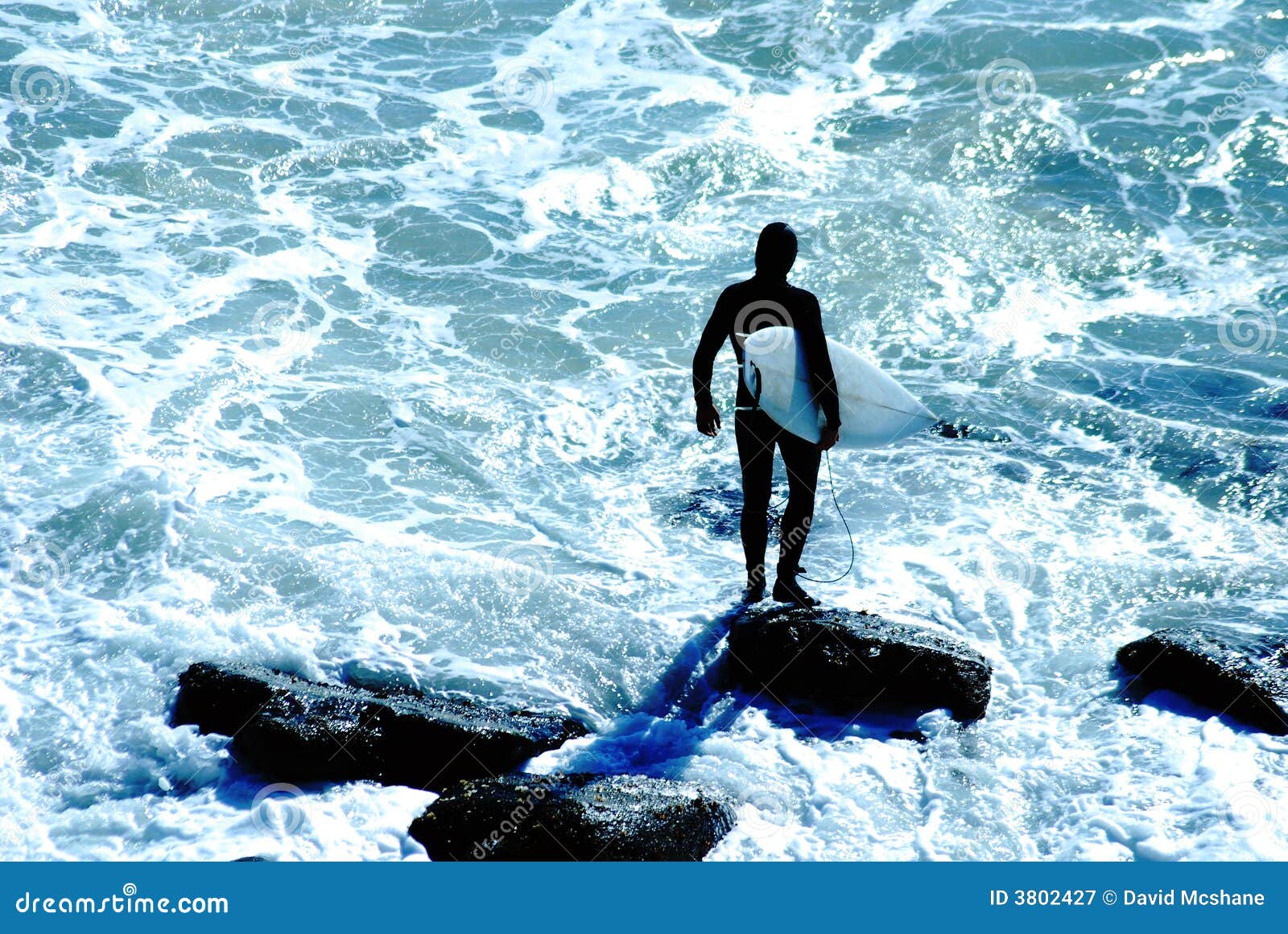 Human Seal stock image. Image of athlete, fear, challenger - 3802427