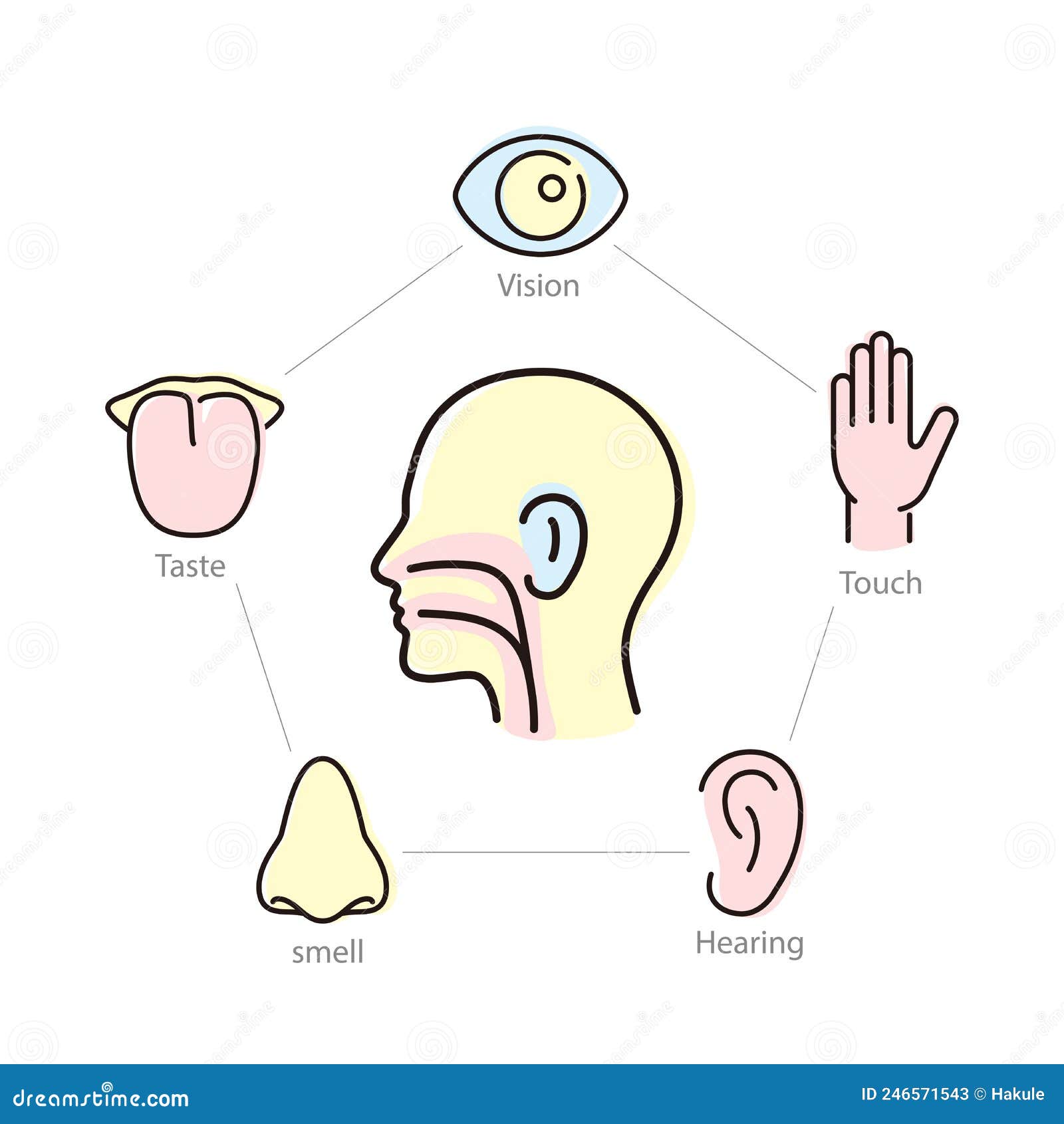 Human Senses Icon Set, Vector Illustration Stock Vector - Illustration ...