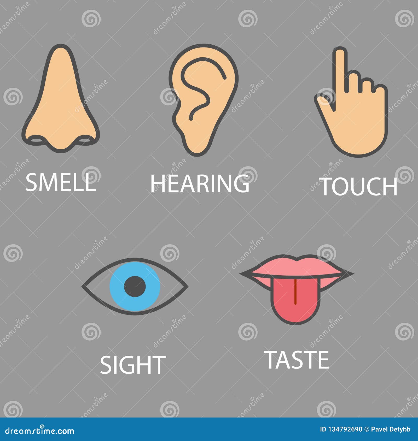 Human Senses Icon. Vector Illustration, Flat Design Stock Illustration ...