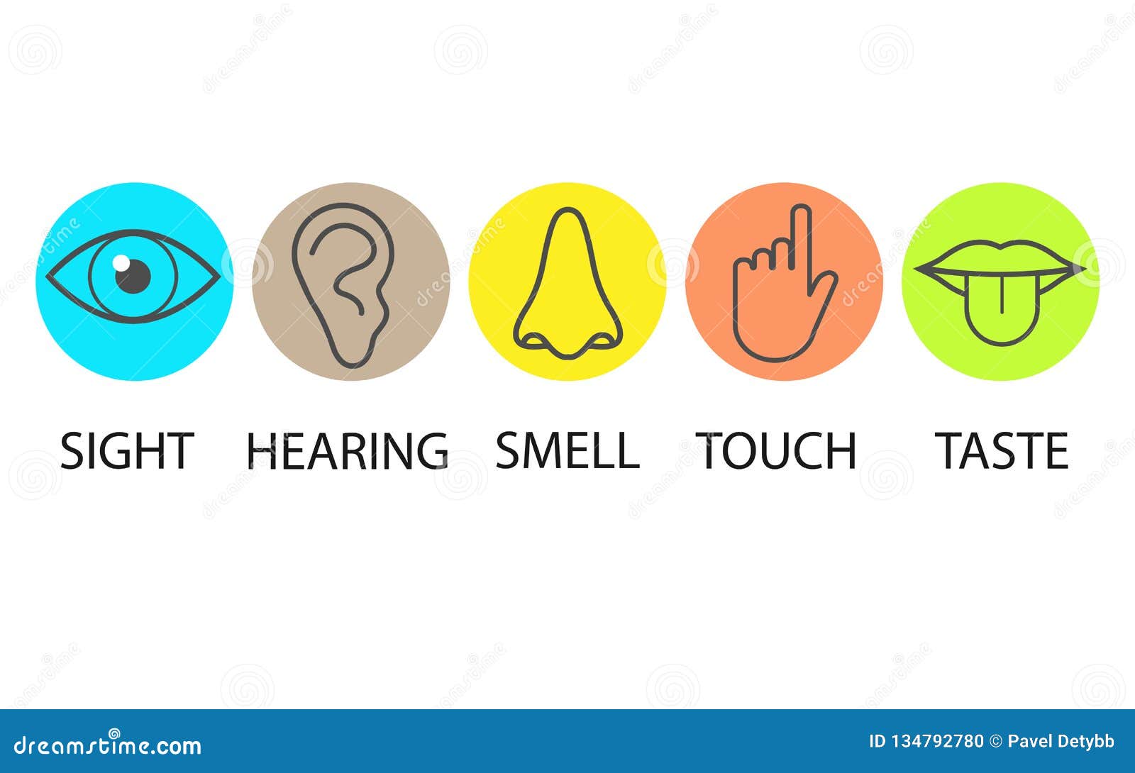 Human Senses Icon. Vector Illustration, Flat Design Stock Illustration ... Human Senses Icon. Vector Illustration, Flat Design Stock Illustration ...