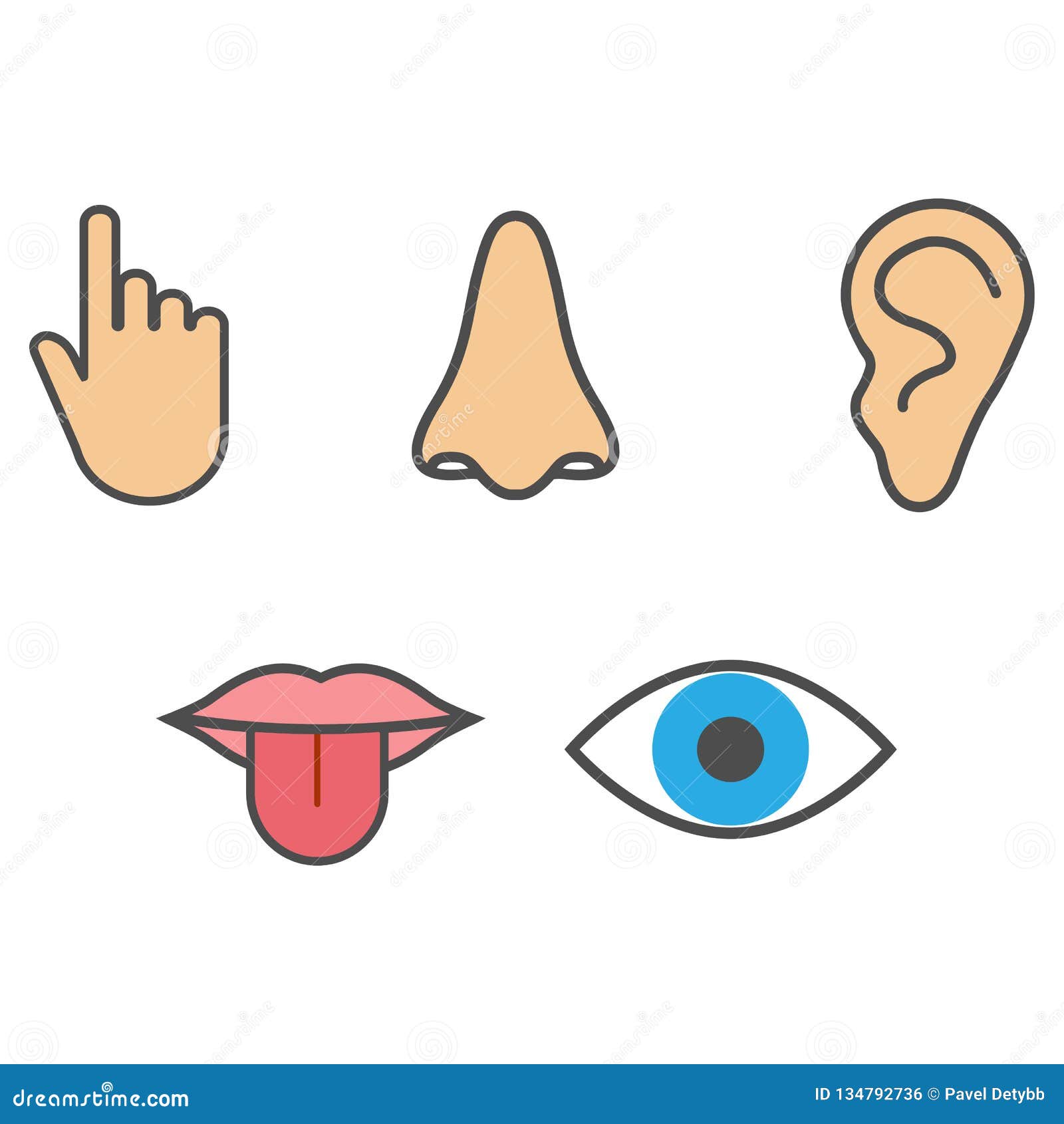 Human Senses Icon. Vector Illustration, Flat Design Stock Illustration ...