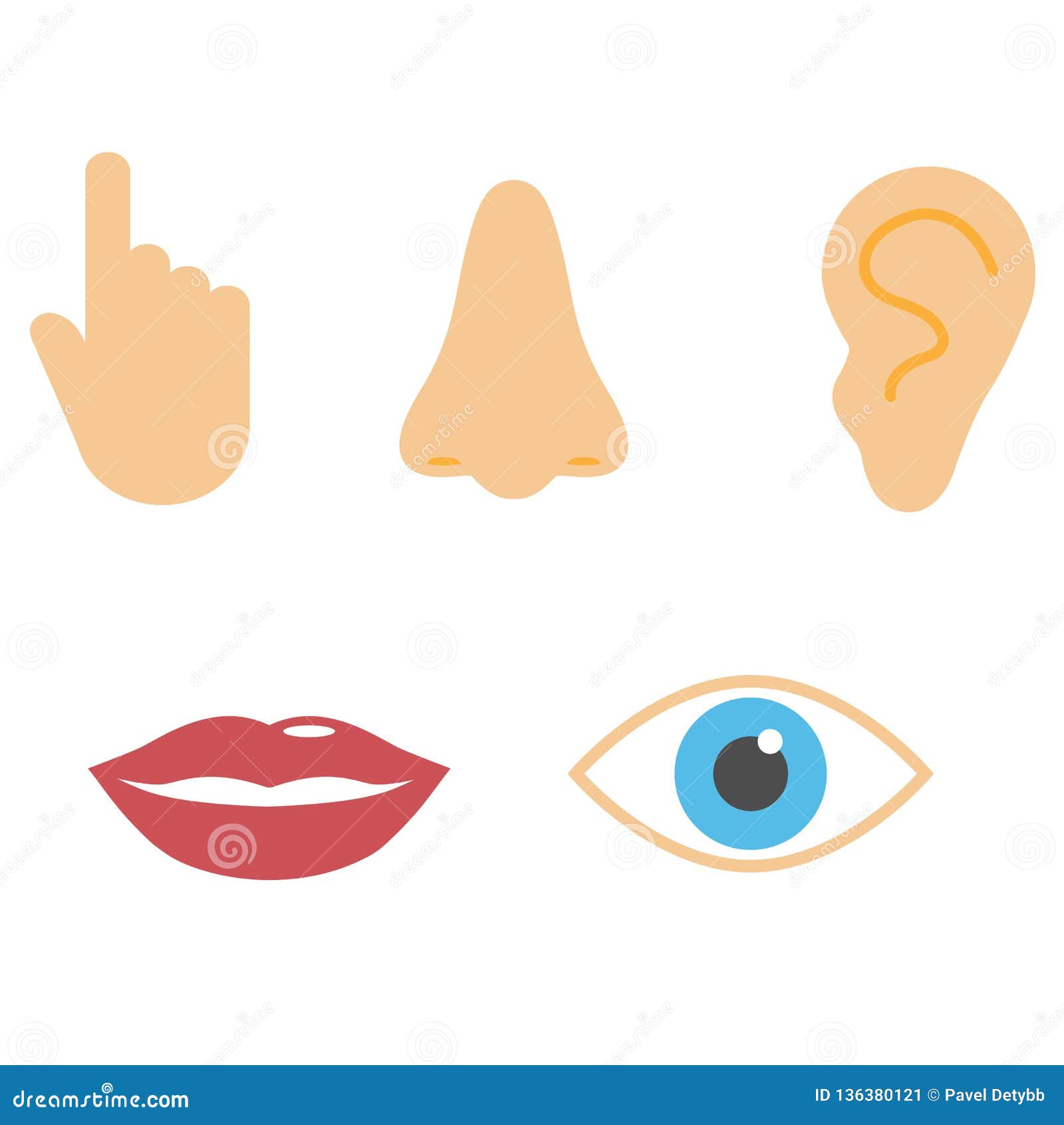 Human Senses Icon. Vector Illustration, Flat Design Stock Illustration ...