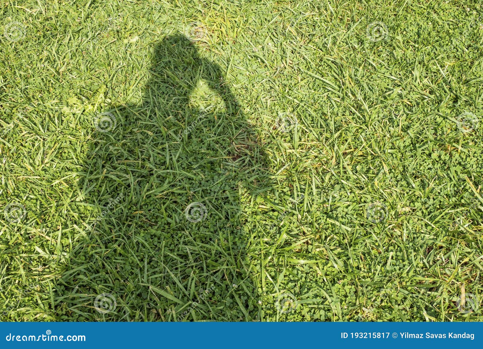 Human shadow on the grass stock image. Image of dark - 193215817