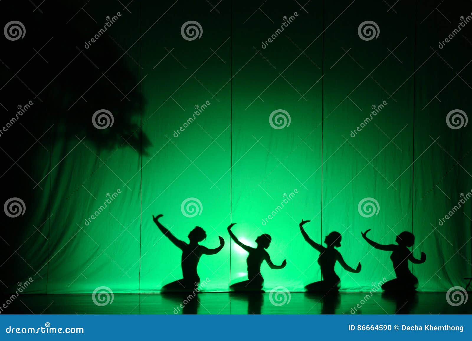 Human shadow show stock photo. Image of person, beauty - 86664590
