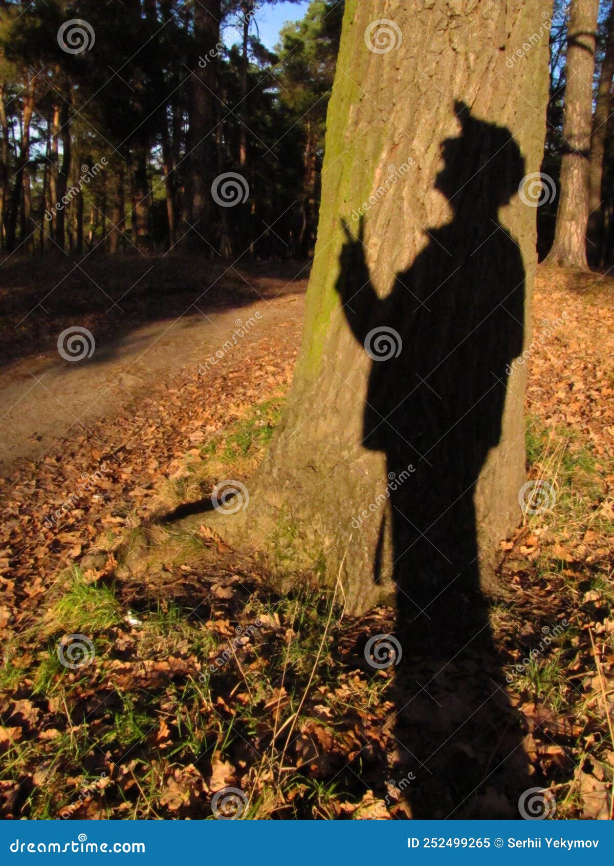 Human shadow on a tree stock image. Image of ukraine - 252499265