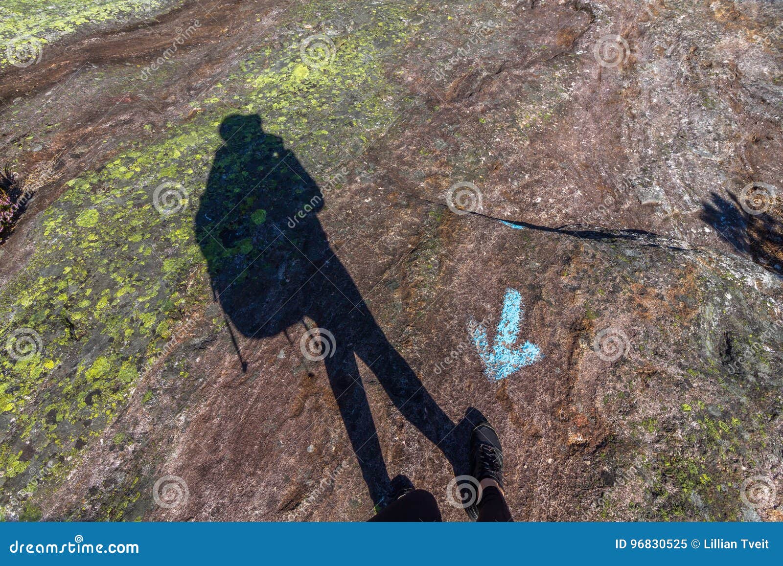 Human Shadow Walking in Wrong Direction, Against Blue Arrow on Rock ...