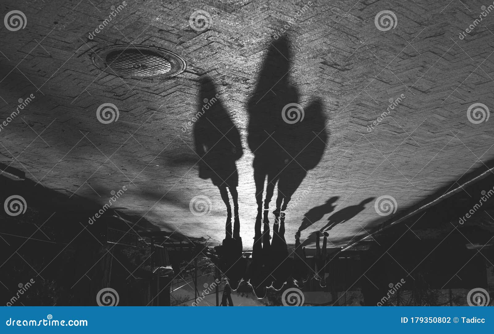 Human shadows stock photo. Image of ground, people, colleague - 179350802