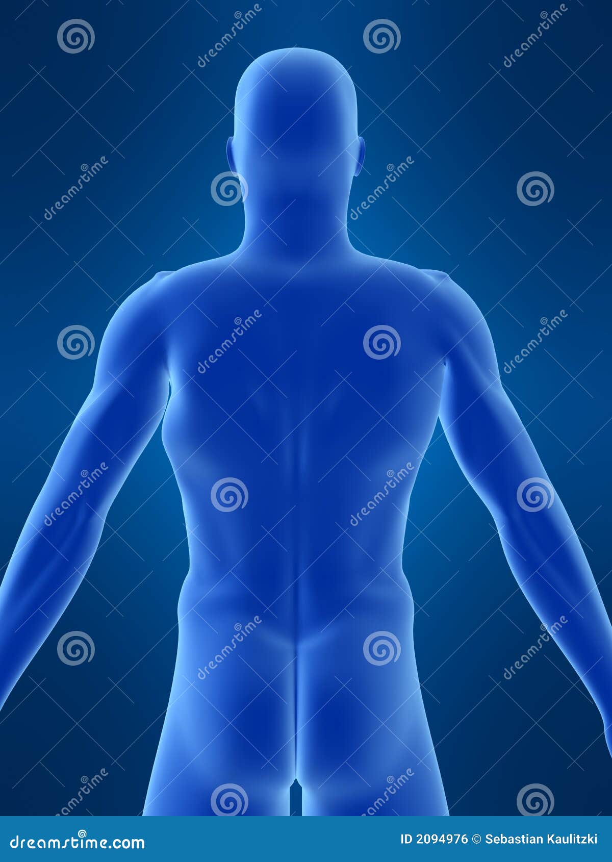 Human shape stock illustration. Illustration of organism - 2094976
