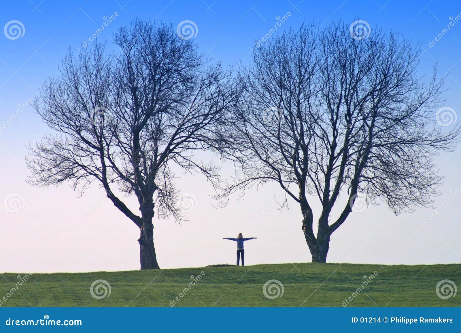 Human shape and trees stock photo. Image of outside, human - 1214